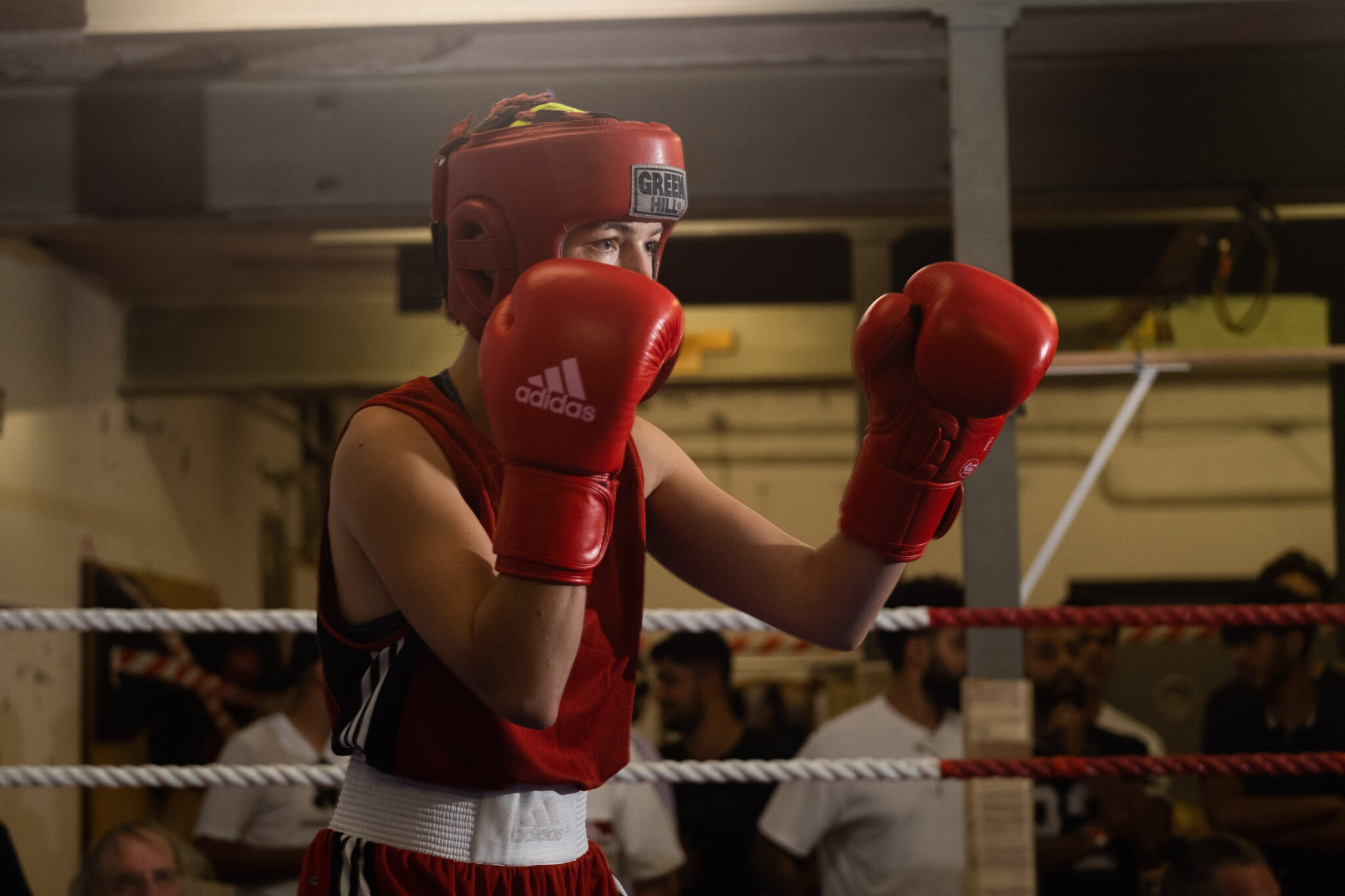 Boxclub Sportring Zürich